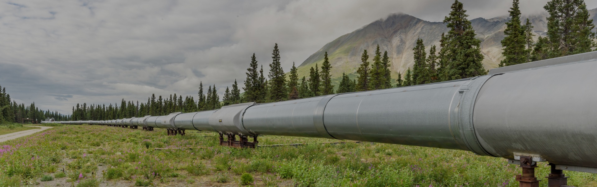 First Nations & Indigenous Pipeline Ownership